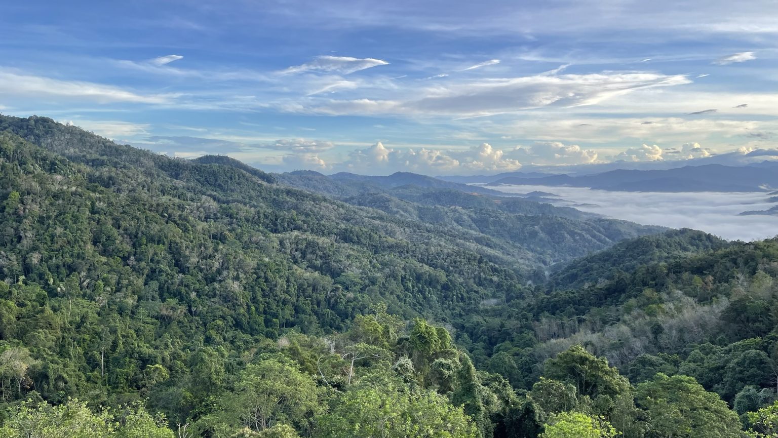 The ultimate camping guide to Sabah: Top 5 famous and hidden Gems ...